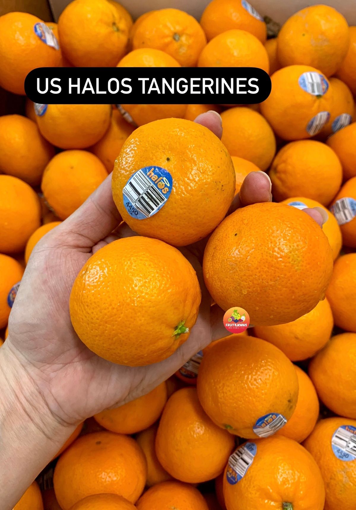 FRUITILICIOUS SG | Take App