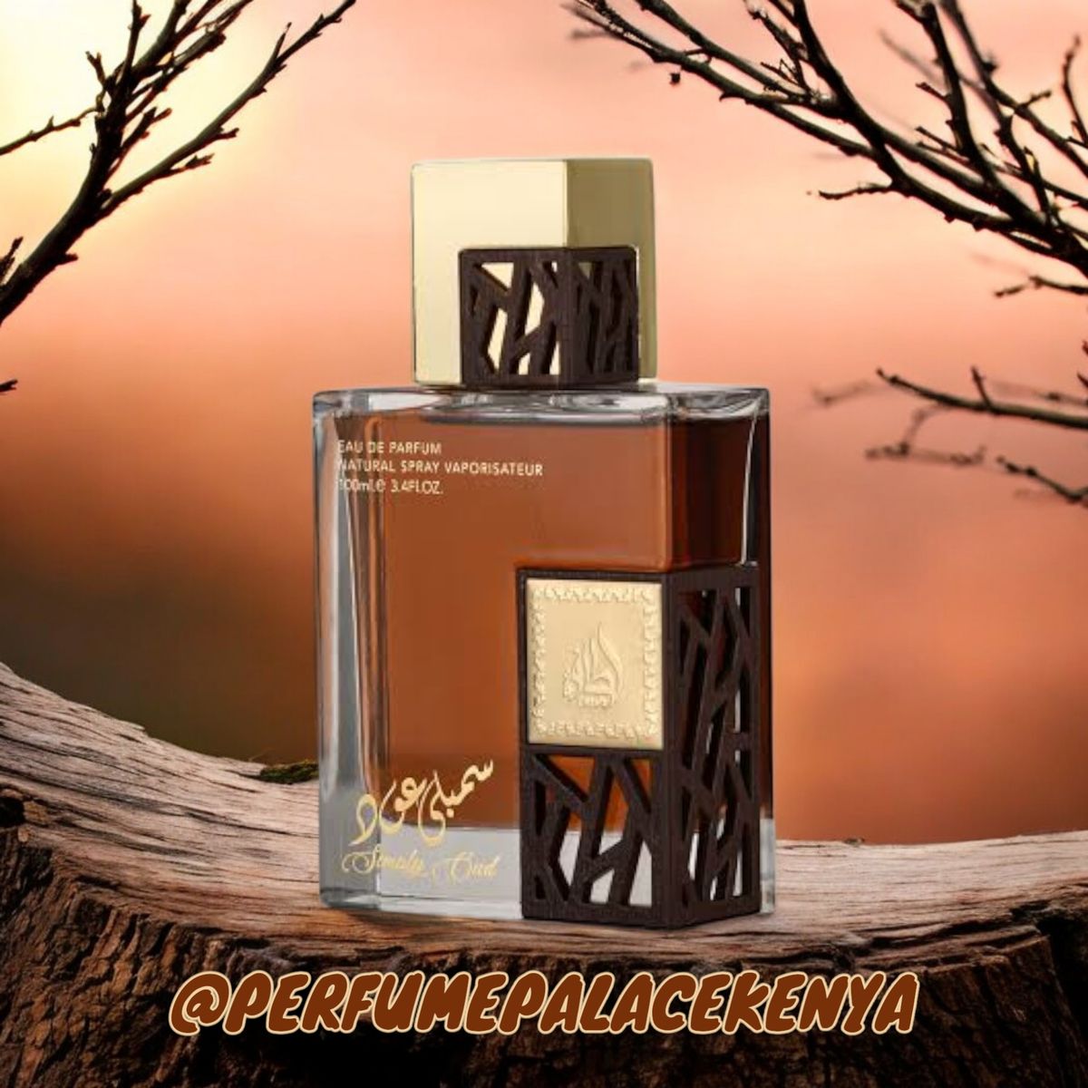 SIMPLY OUD - Perfume Palace Kenya