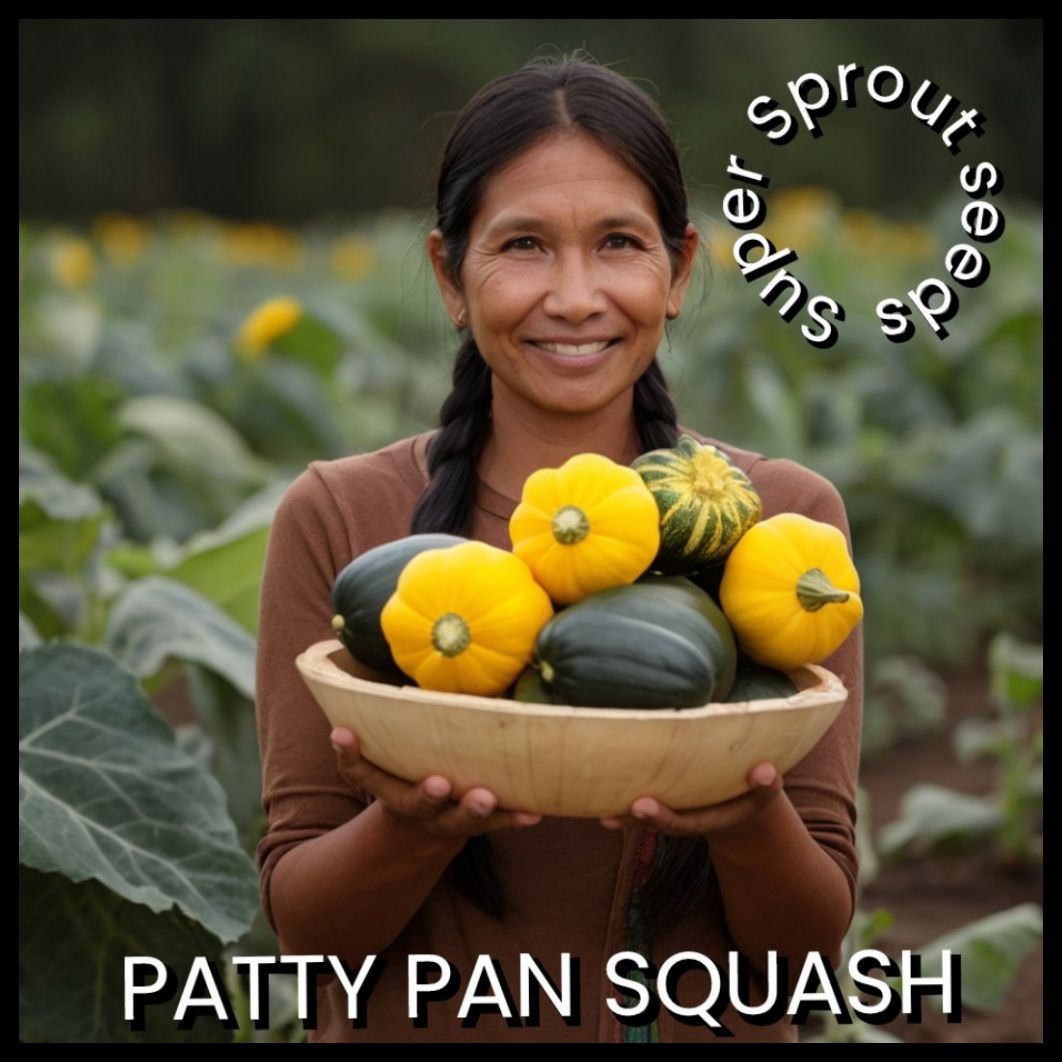 🎃PATTY PAN SQUASH🎃 x 6 seeds - SUPER SPROUT ONLINE SEED STORE | Take App