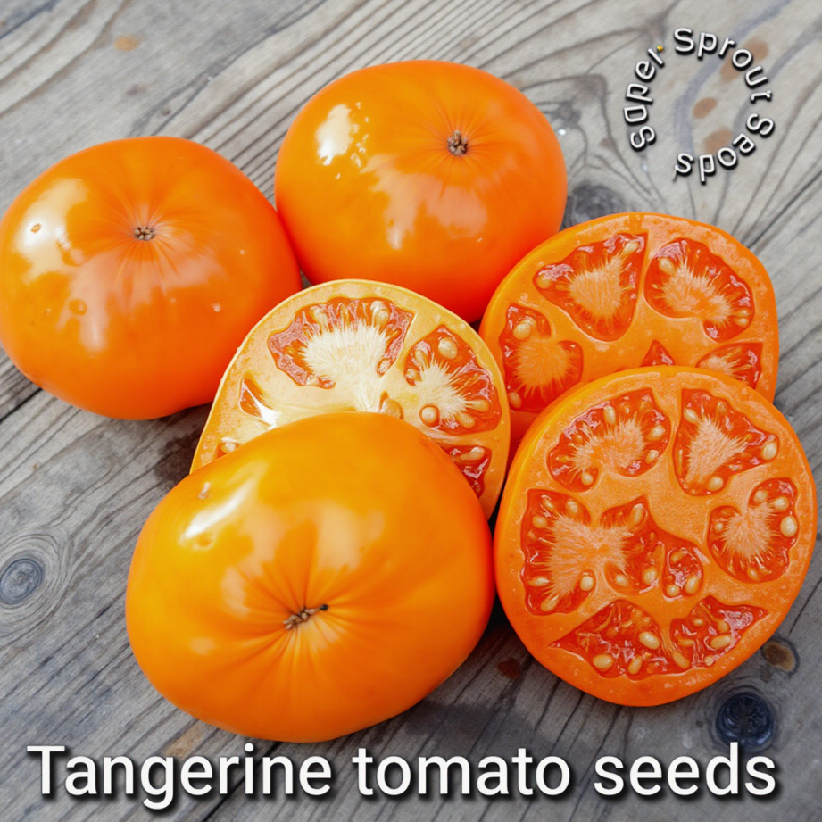 🍅TOMATO TANGERINE🍅 x 15 organic seeds - SUPER SPROUT ONLINE SEED STORE ...