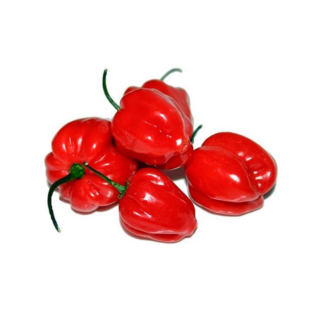 Frutas y verduras el Curato | Take App